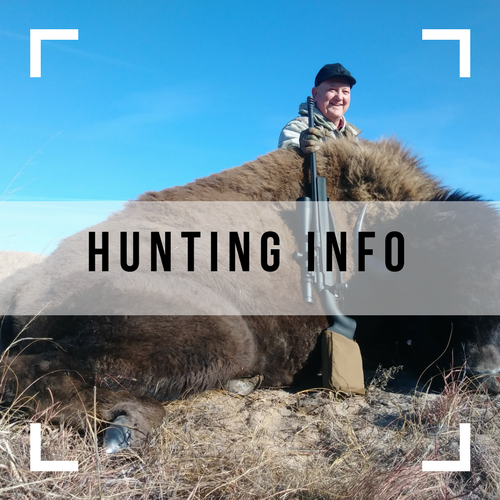 Home - Wyoming Professional Hunters